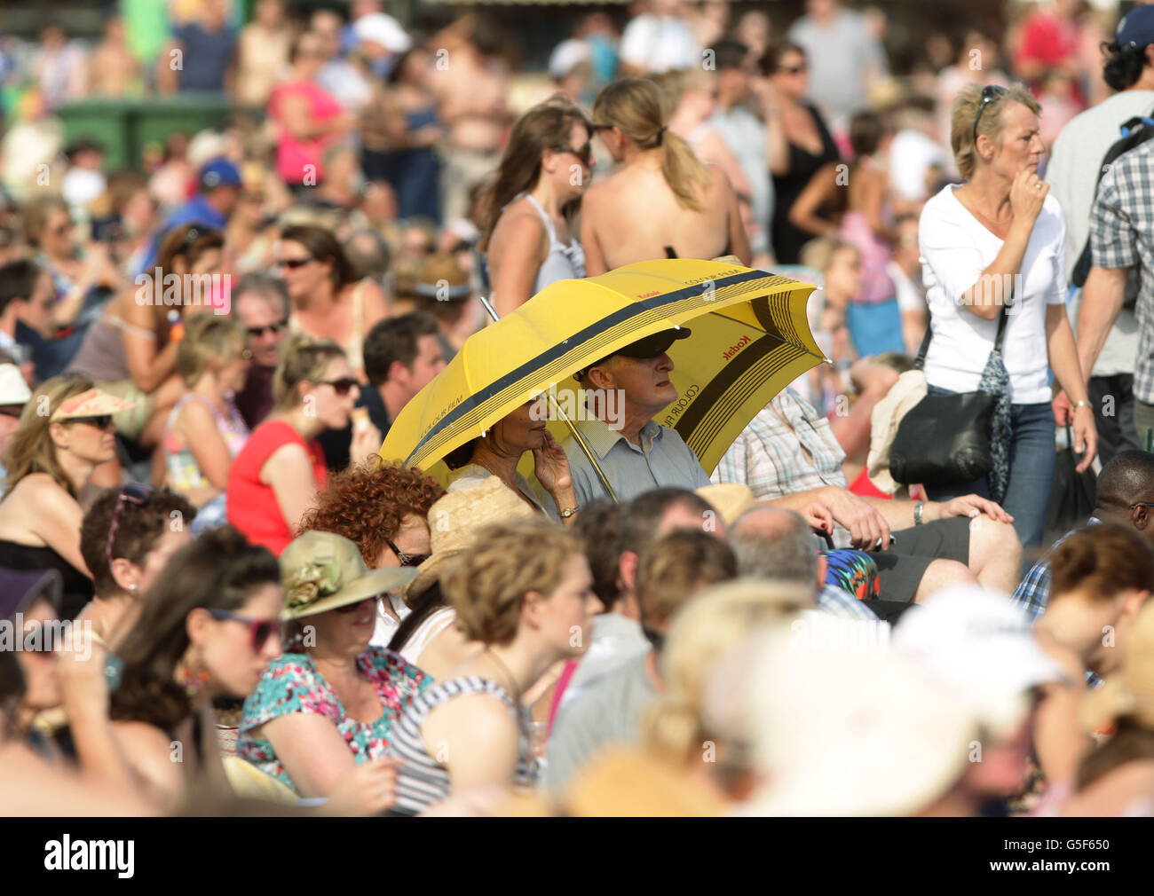 The crowd bbc radio live concert in hyde park hi-res stock photography ...