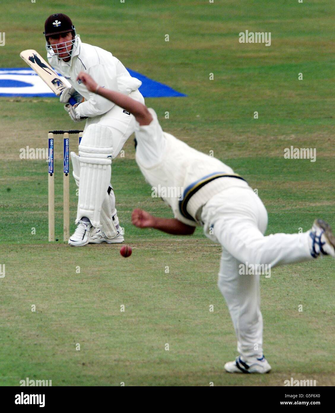 Cricket Darren Gough Stock Photo - Alamy