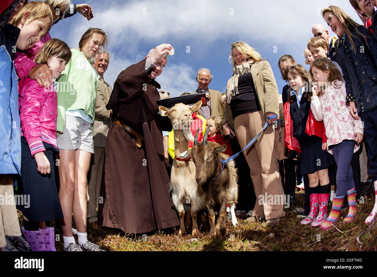 'Goat's for Howth' project Stock Photo - Alamy
