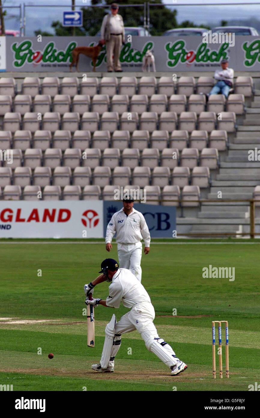 Cricket Neil Johnson Stock Photo - Alamy