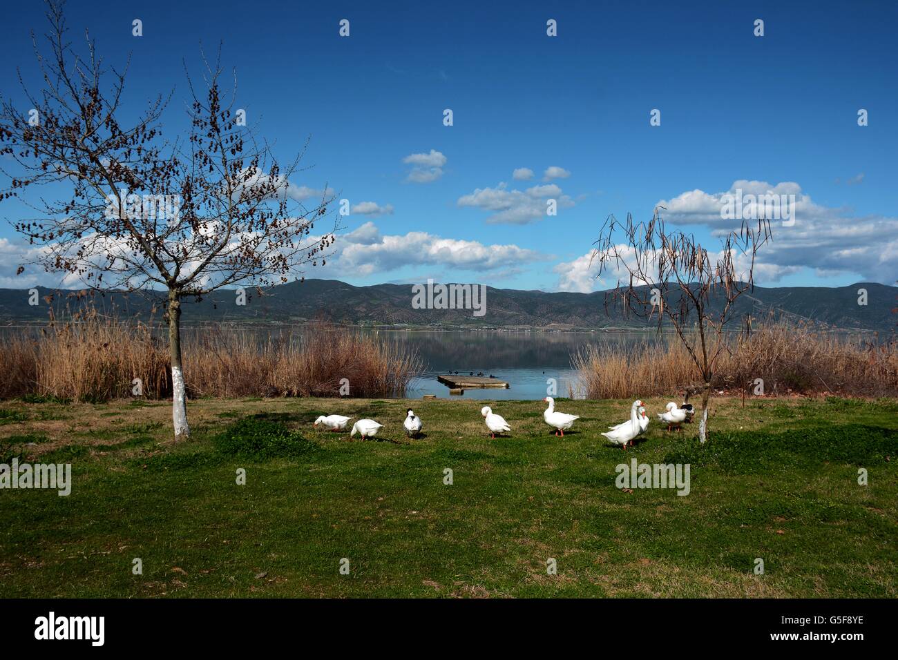 Volvi see hi-res stock photography and images - Alamy