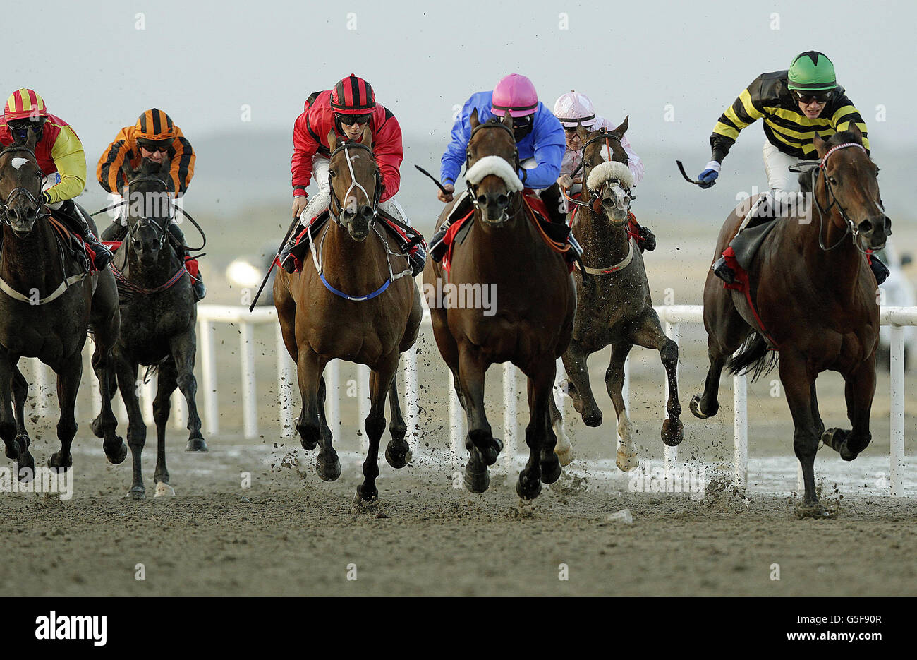 Laytown racecourse hi-res stock photography and images - Alamy