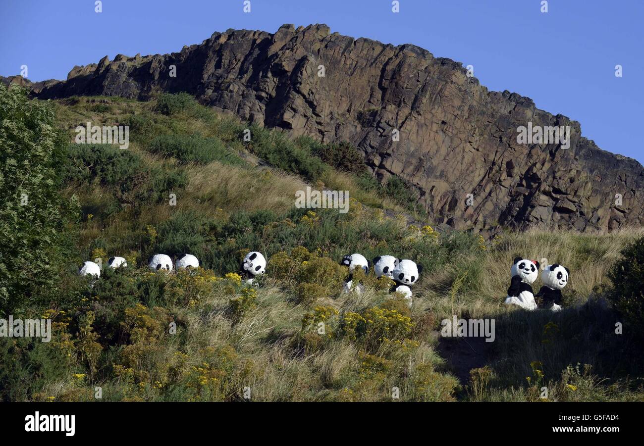 Chengdu Panda Base Stock Photo - Alamy