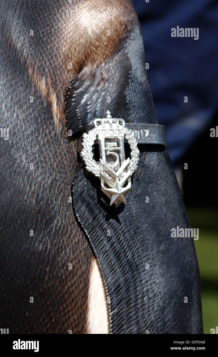 Edinburgh Penguin medal Stock Photo - Alamy