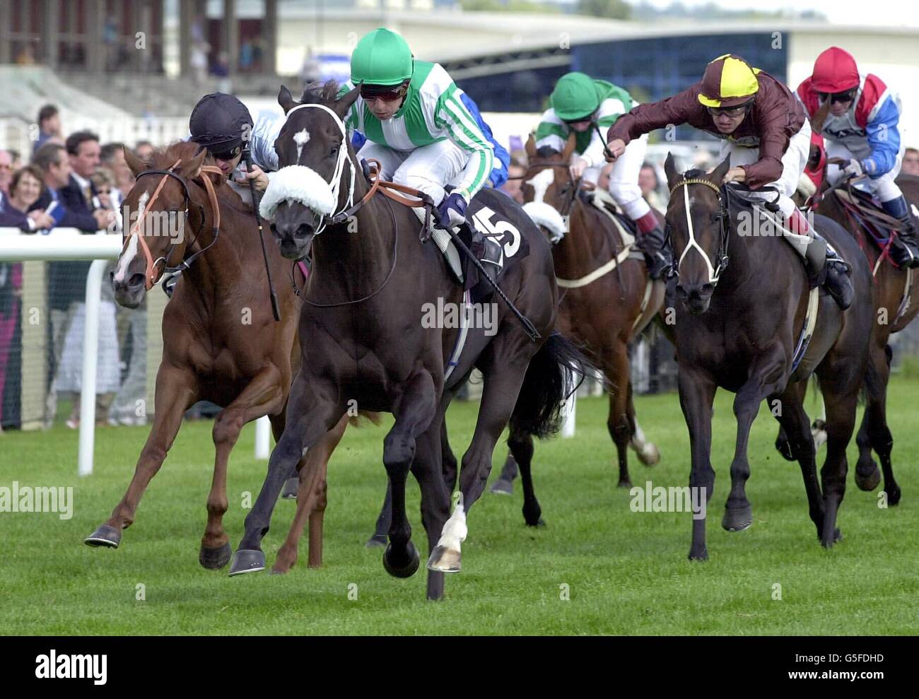Newbury Races Swiss Lake Stock Photo - Alamy