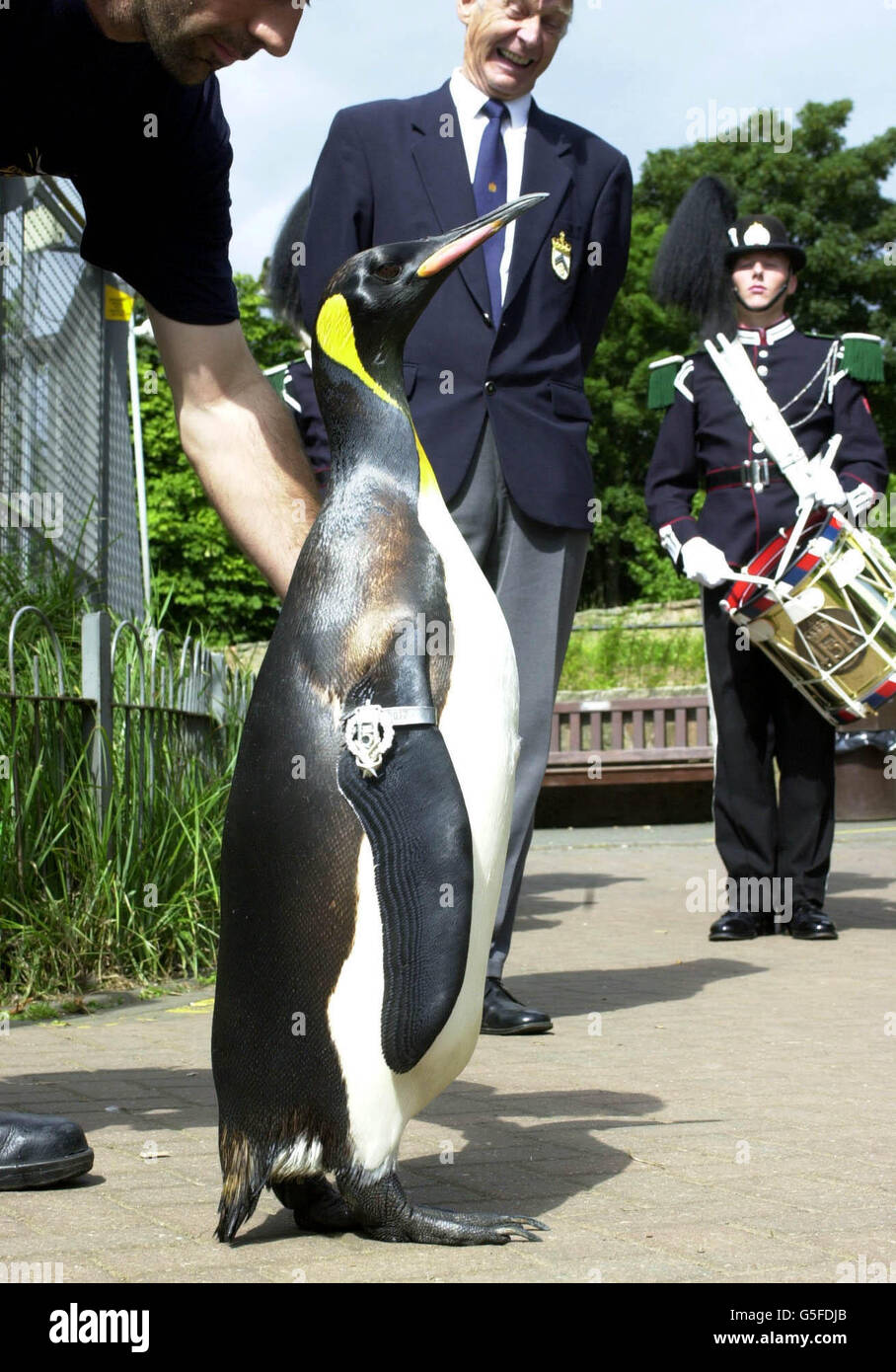 Edinburgh Penguin medal Stock Photo - Alamy