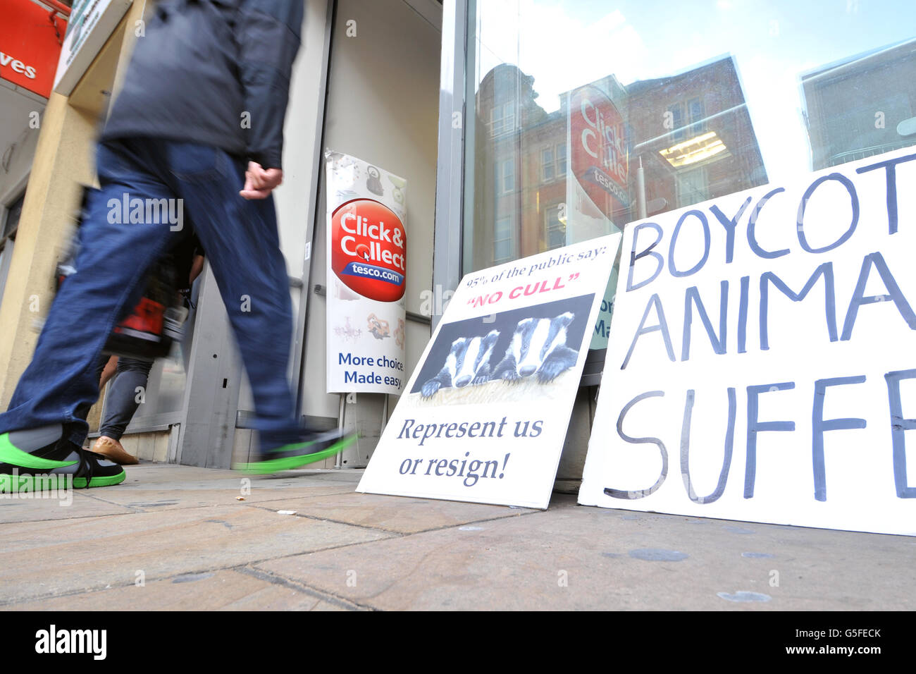 Badger cull protest outside Tesco - Nottingham Stock Photo - Alamy