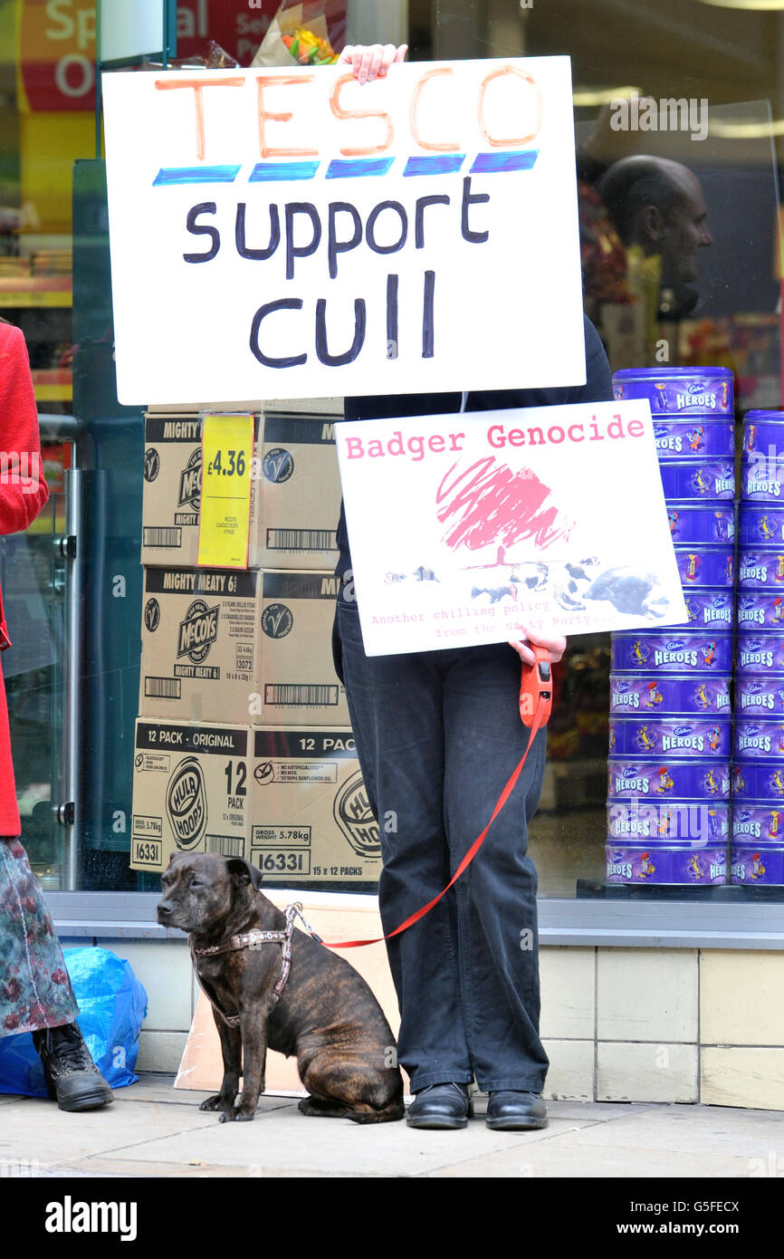 Animal rights protesters outside a branch of Tesco in Nottingham city ...