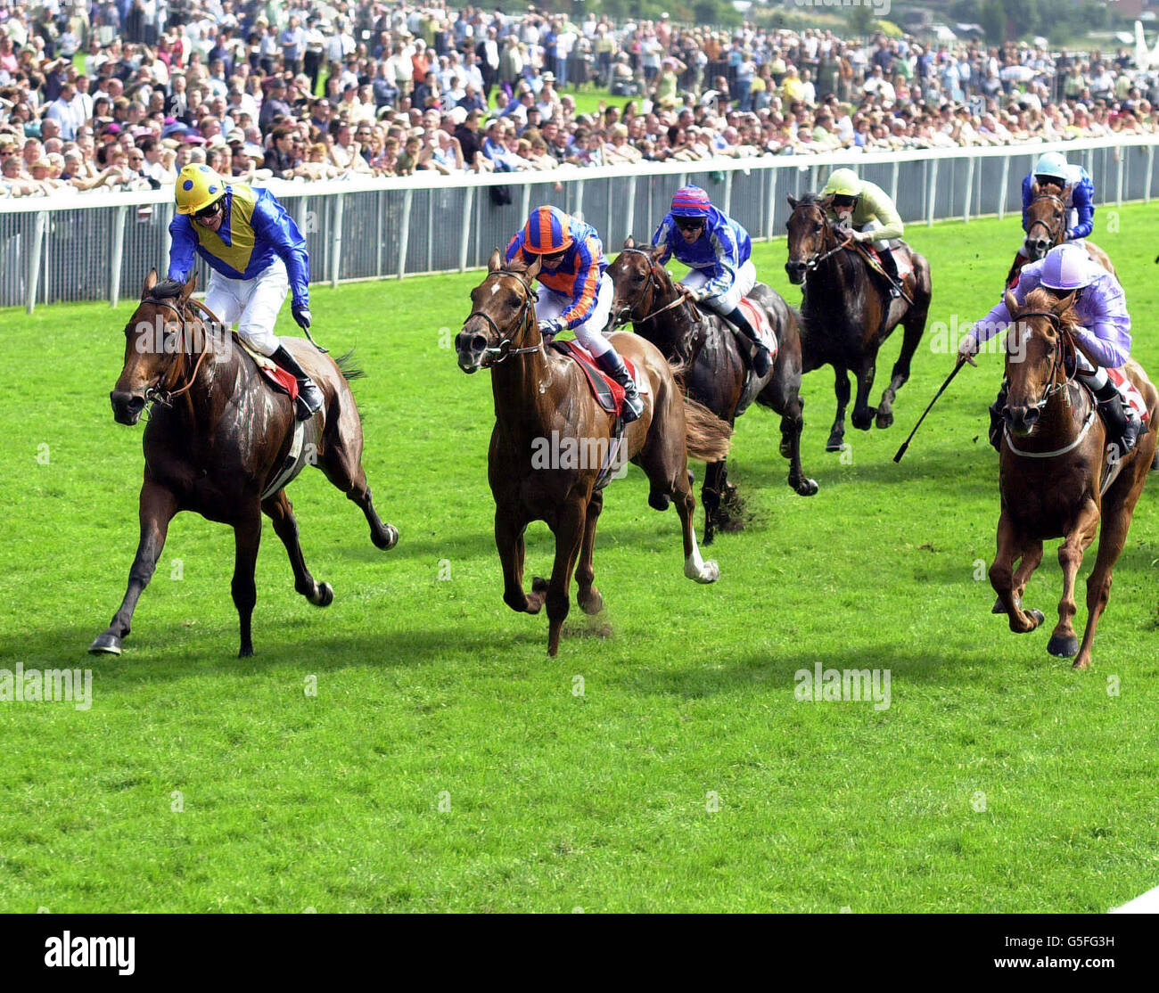 York races tough speed hi-res stock photography and images - Alamy