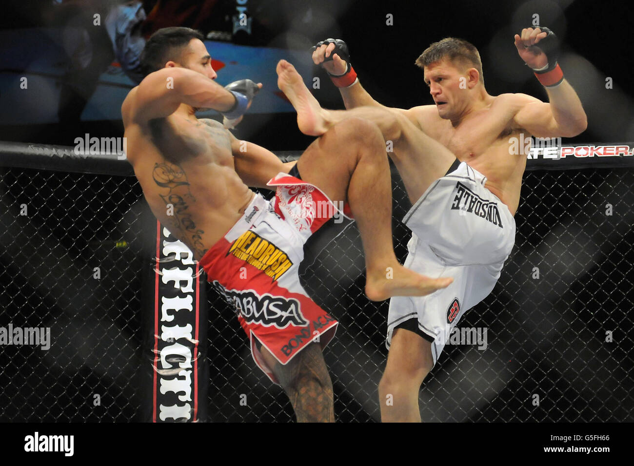 Sport mixed martial arts ufc hi-res stock photography and images - Alamy