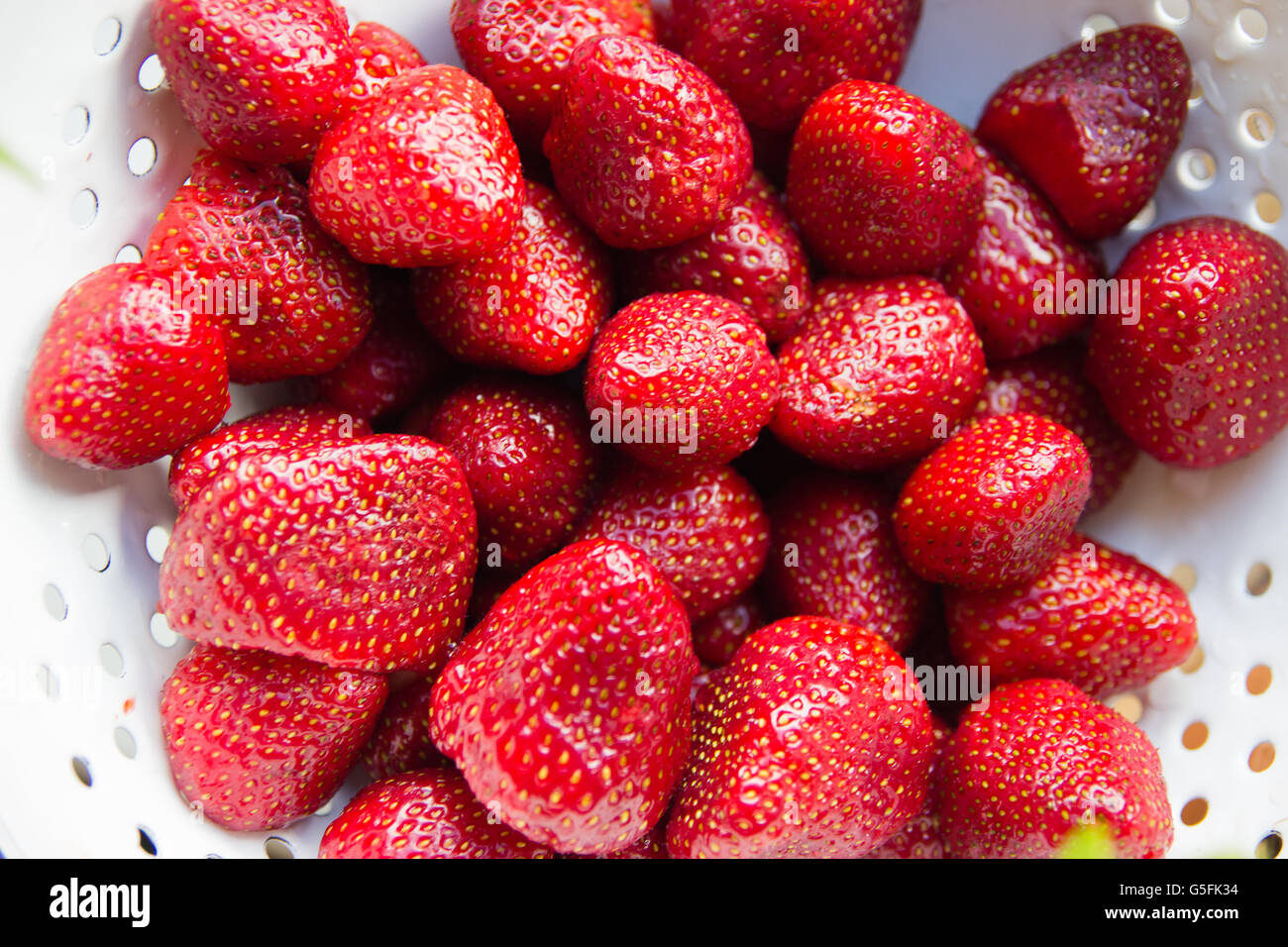 Rich green color frame hi-res stock photography and images - Alamy