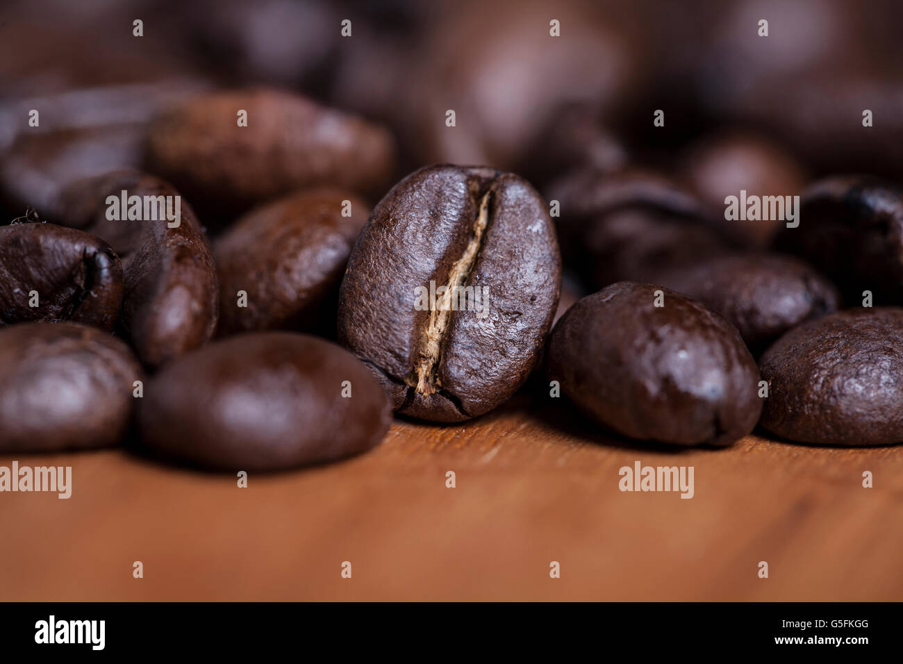 coffee bean front view Stock Photo - Alamy