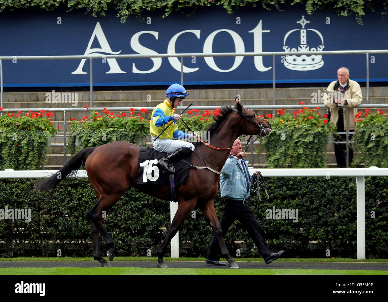 Horse Racing - Autumn Meeting - Day One - Ascot Stock Photo - Alamy