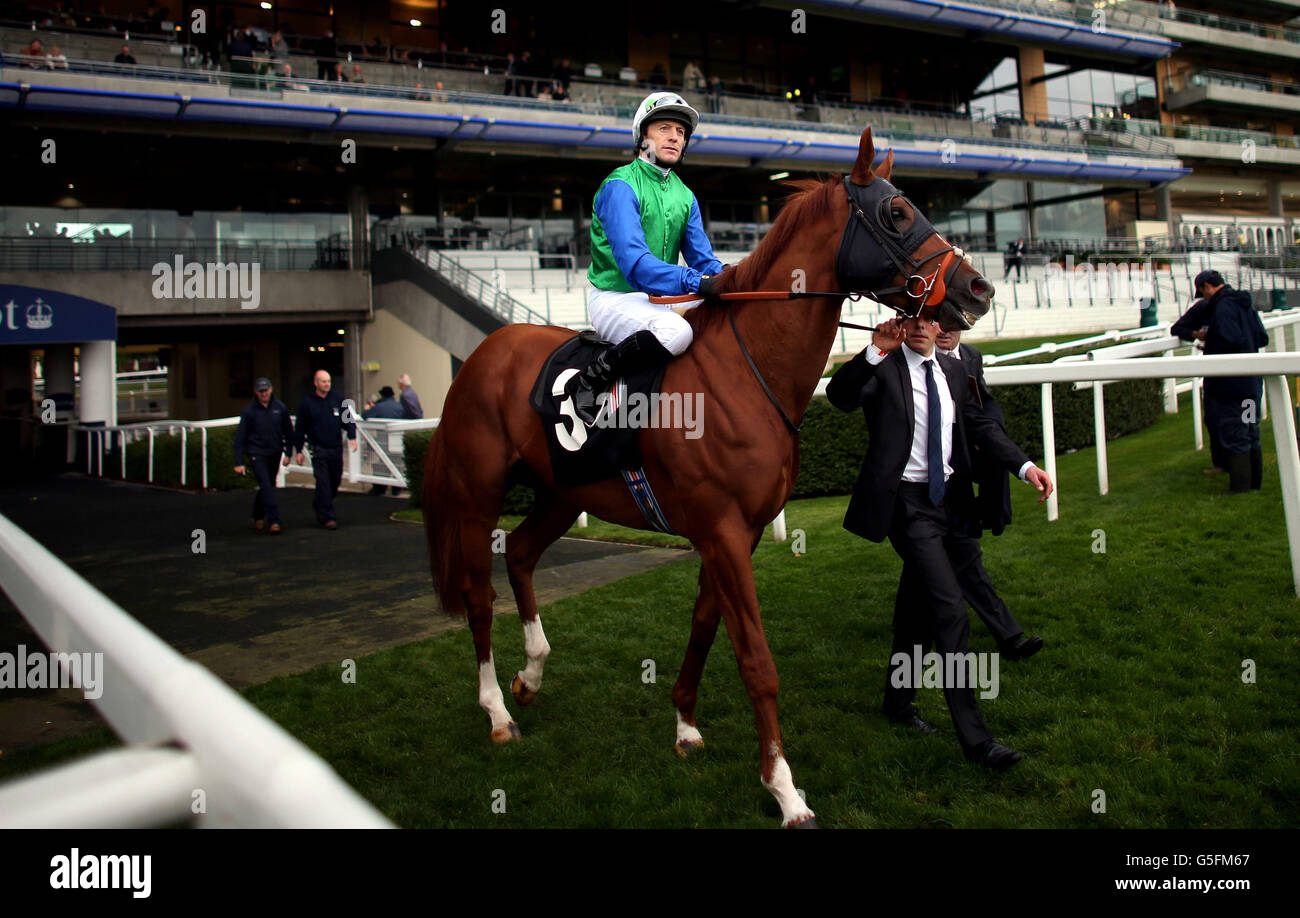 Horse Racing - Autumn Meeting - Day One - Ascot Stock Photo - Alamy