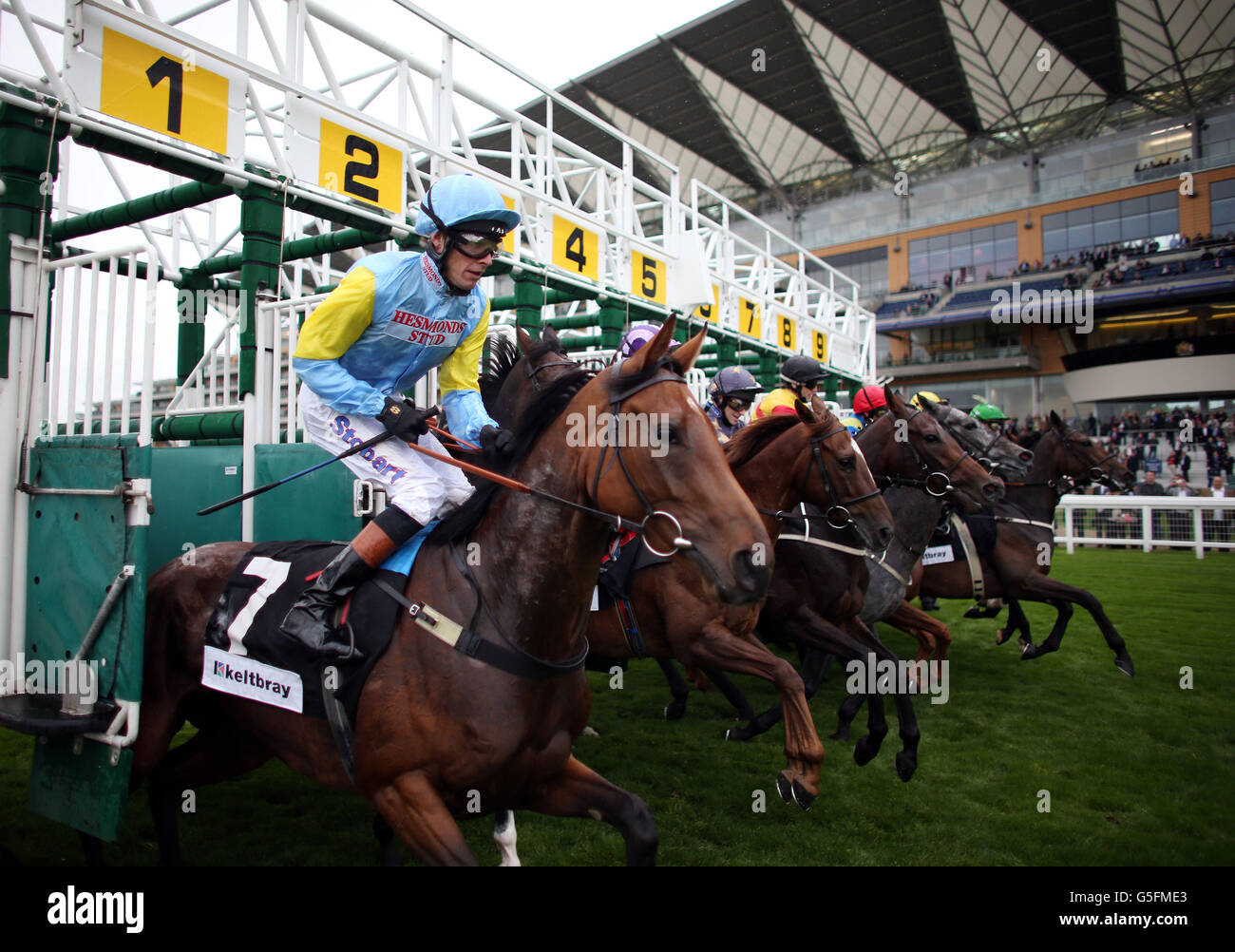 Horse Racing - Autumn Meeting - Day One - Ascot Stock Photo - Alamy