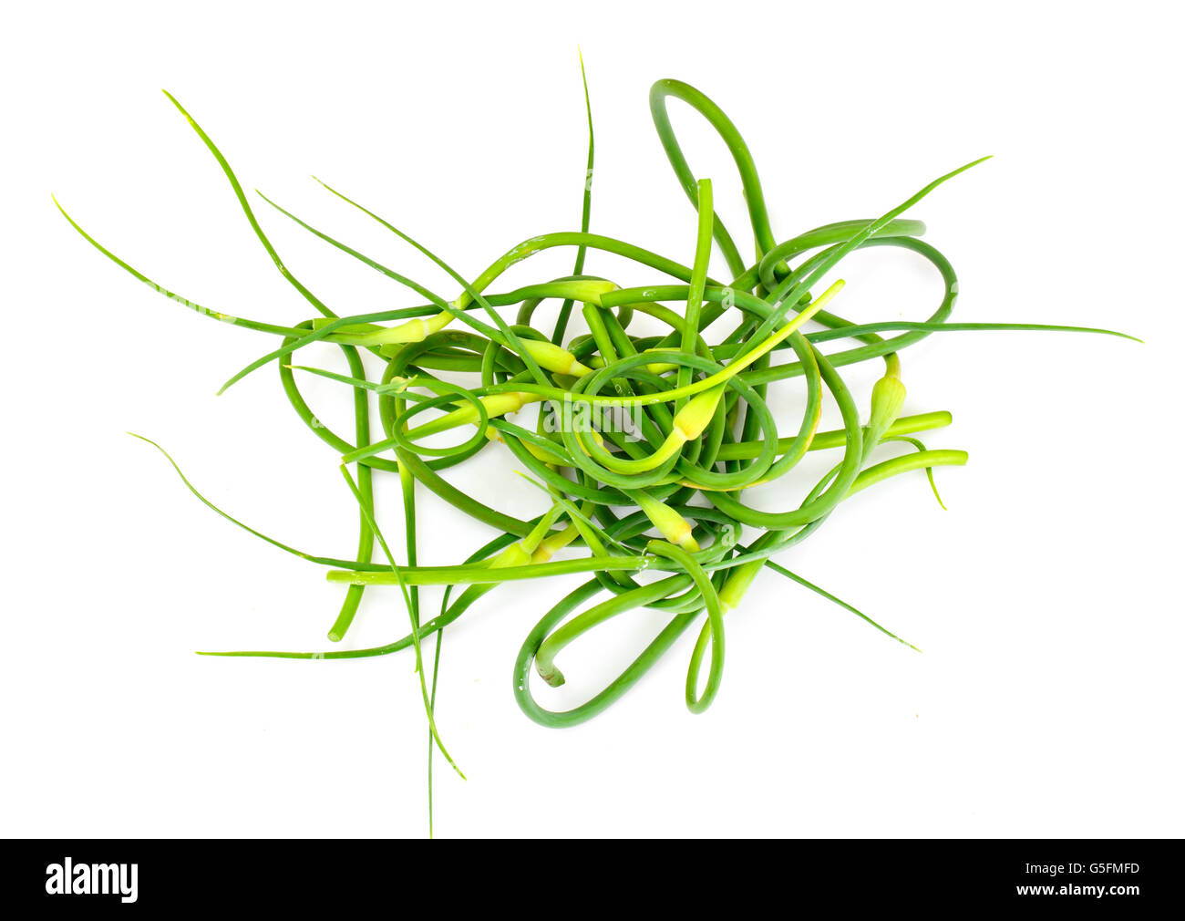 Green Stalks of Garlic Stock Photo - Alamy