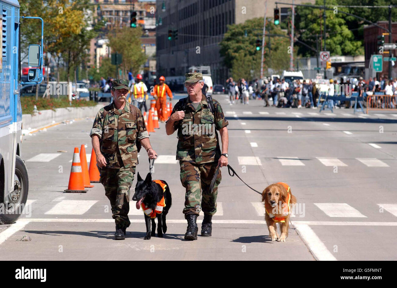 Rescue workers in NYC/ dogs Stock Photo - Alamy