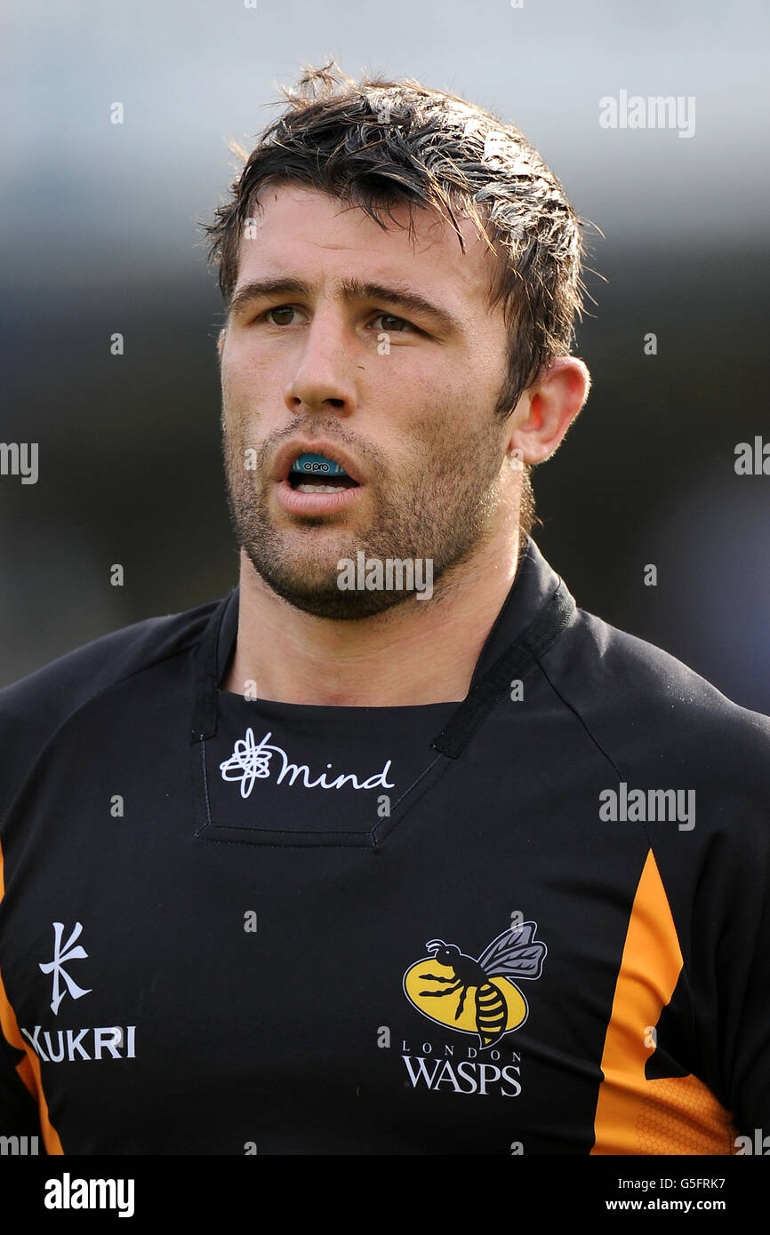 Wasps chris bell hi-res stock photography and images - Alamy