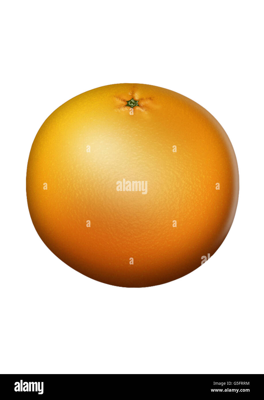 Vector illustration cut orange Cut Out Stock Images & Pictures - Alamy