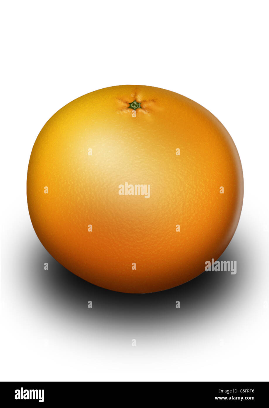 Vector illustration cut orange Cut Out Stock Images & Pictures - Alamy