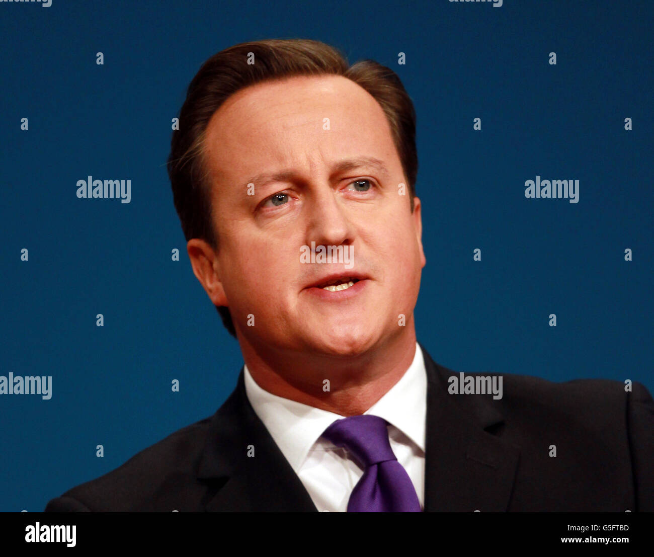Prime Minister David Cameron addresses the Conservative Party ...