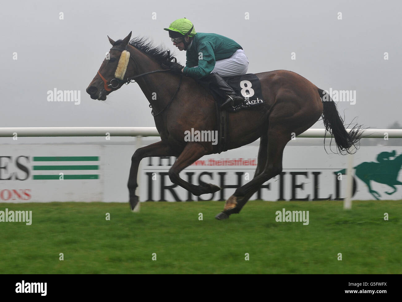 Stephen quirke hi-res stock photography and images - Alamy