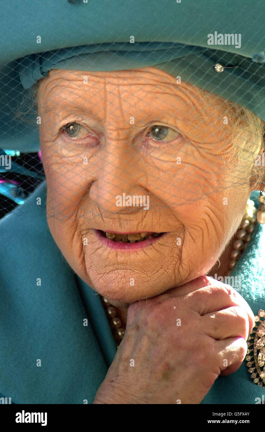 The Queen Mother Aberdeen Angus Stock Photo - Alamy
