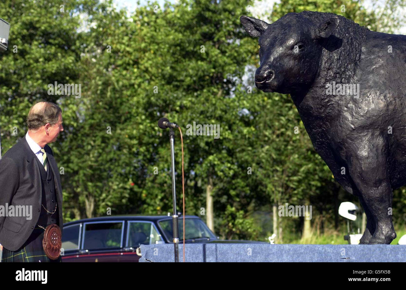 The Queen Mother Aberdeen Angus Stock Photo - Alamy