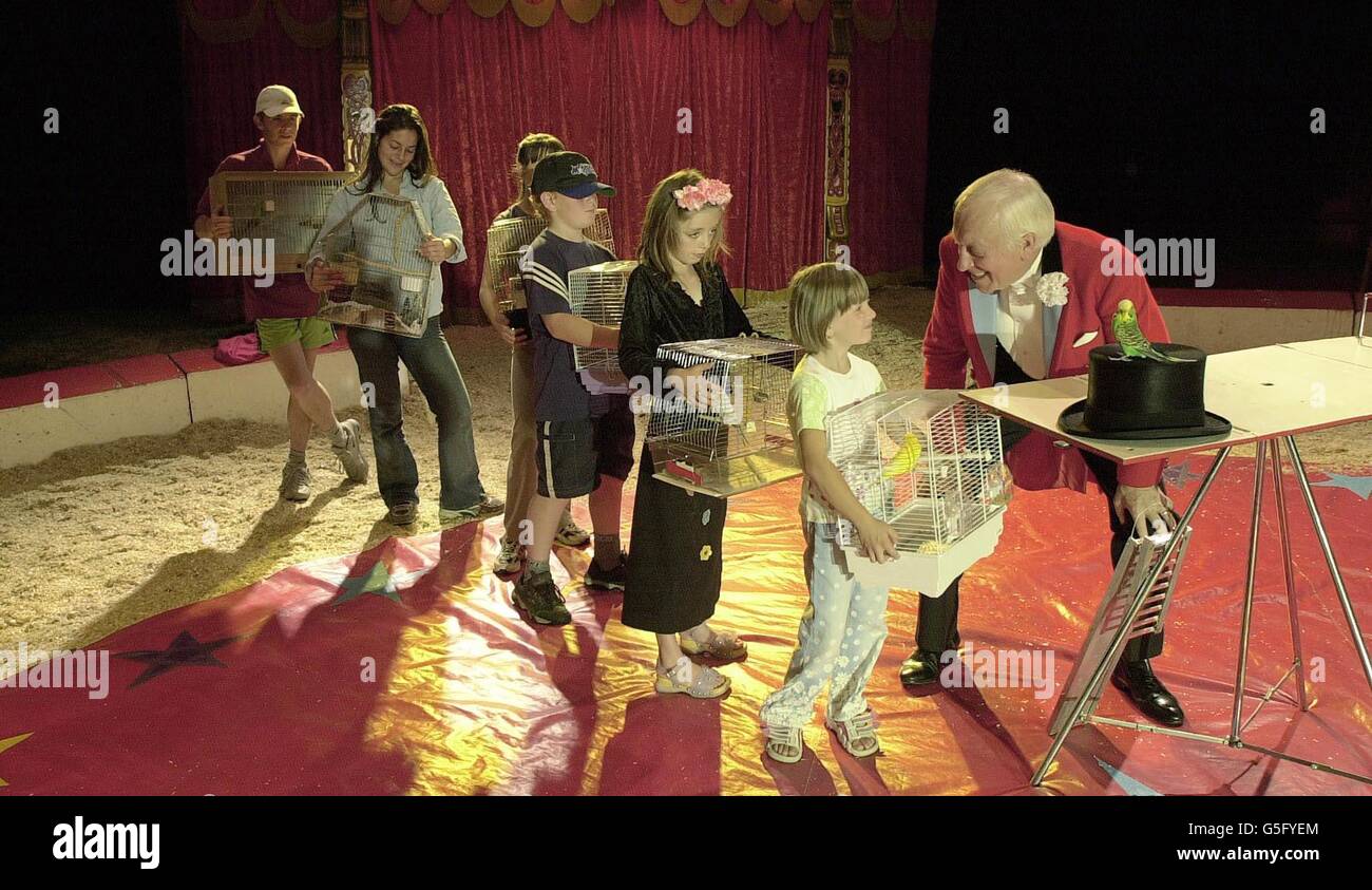 Budgie top hat cage children hi-res stock photography and images - Alamy