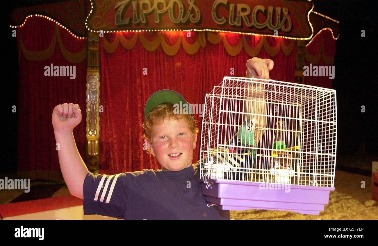 Twelve year old Tom Roberts with his bird Eddie, who will be replacing ...