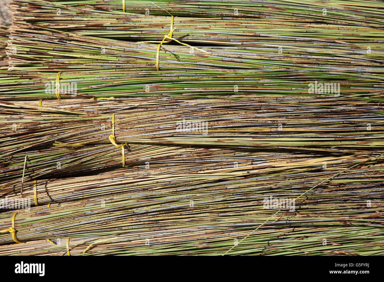 Thatch reeds hi-res stock photography and images - Alamy