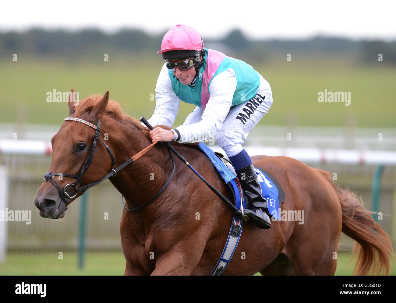 Horse Racing - The Cambridgeshire Meeting - Shadwell Day - Newmarket ...