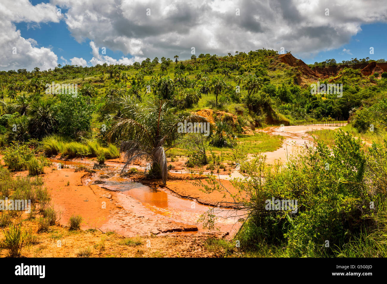 Red Tsingy in Madagascar, Africa. Stone formation of red laterite ...