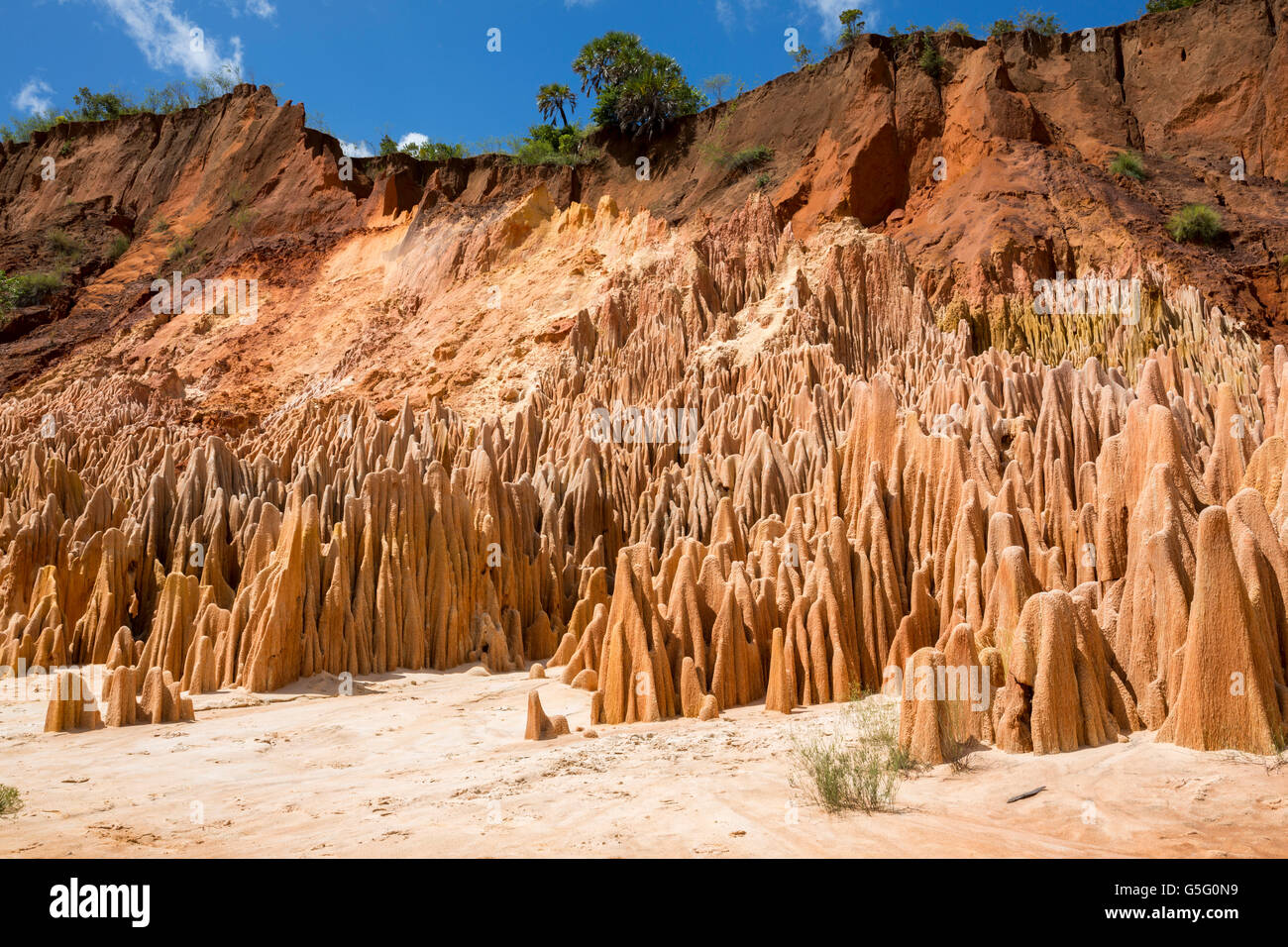 Tsingy rouge, madagascar hi-res stock photography and images - Alamy