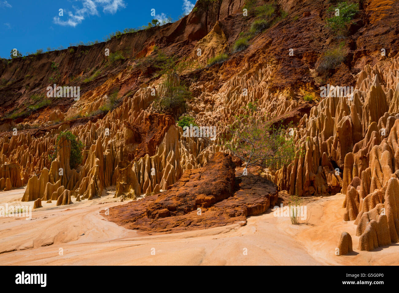 Red Tsingy in Madagascar, Africa. Stone formation of red laterite ...