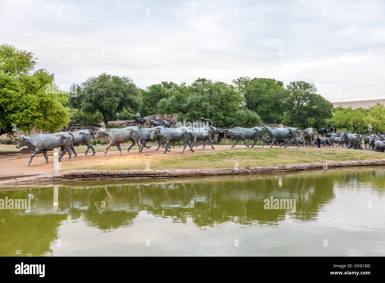Cattle drive hi-res stock photography and images - Alamy