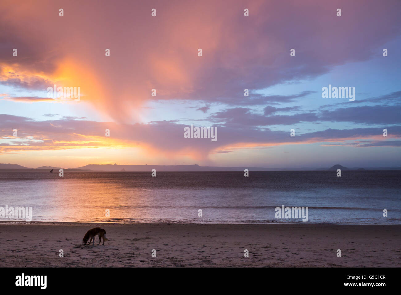 Beautiful colorful sunrise on the beach in Madagascar Stock Photo - Alamy