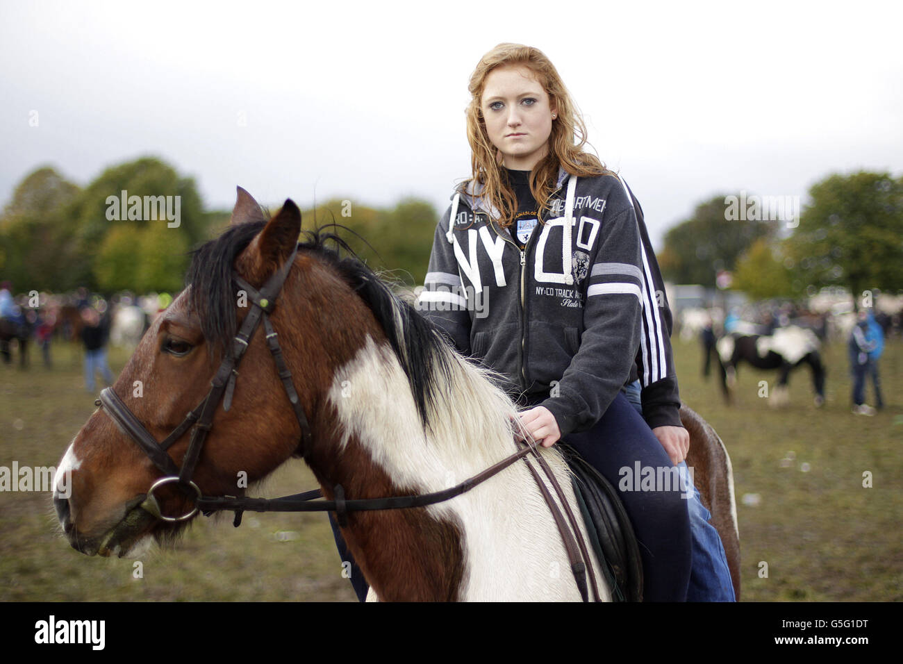 Ballinasloe Horse Fair 2012 Stock Photo - Alamy