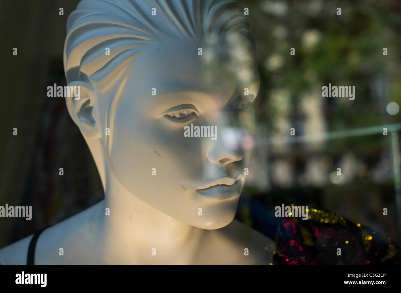 Female mannequin head with soft expression and blurred foreground Stock ...