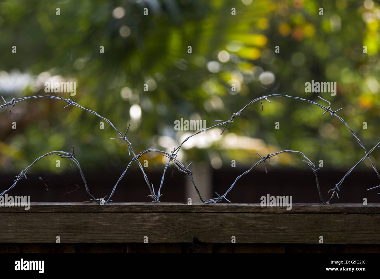 Barbed wire barb wire coil hi-res stock photography and images - Alamy