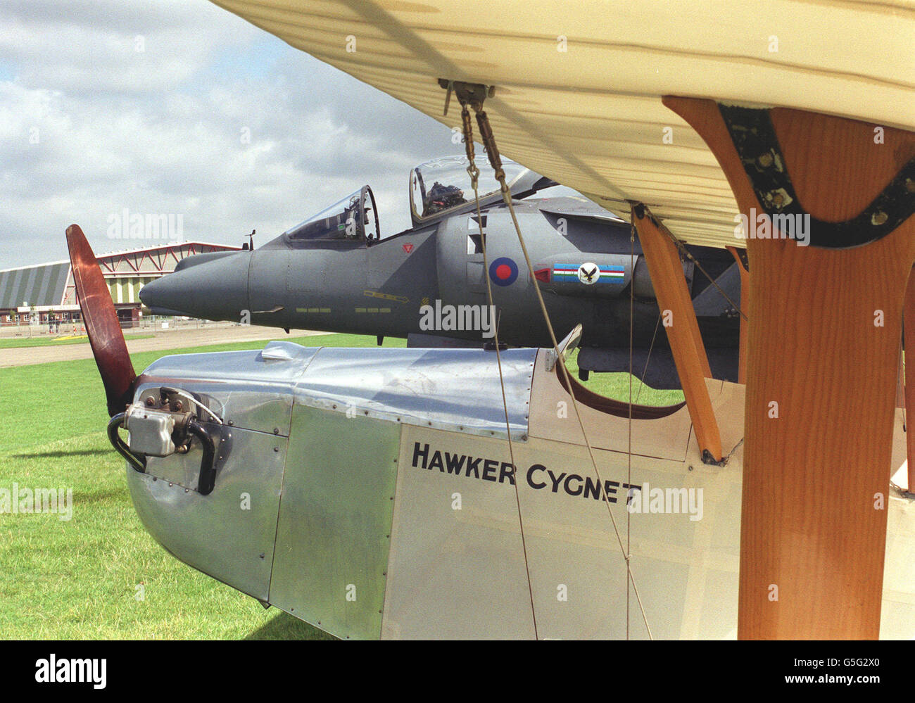 Cygnet in the air hi-res stock photography and images - Alamy