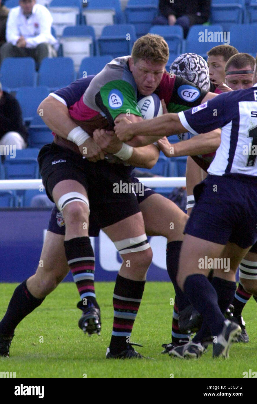 The stoop harlequin hi-res stock photography and images - Alamy