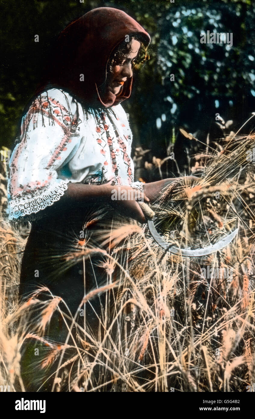 1920s farm woman hi-res stock photography and images - Alamy