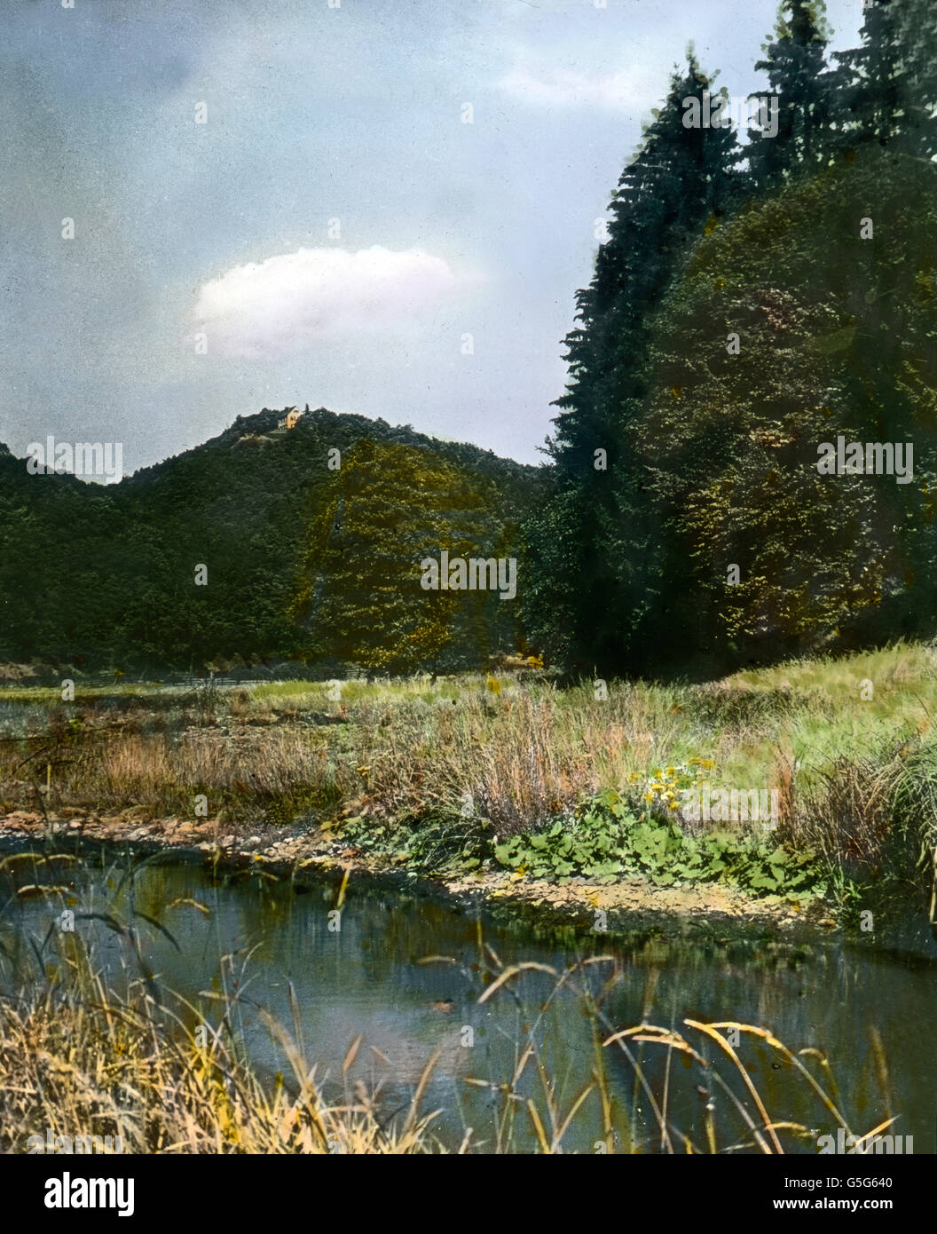 Der Fluß Selke schlängelt sich durch das Selketal. The river Selke runs ...