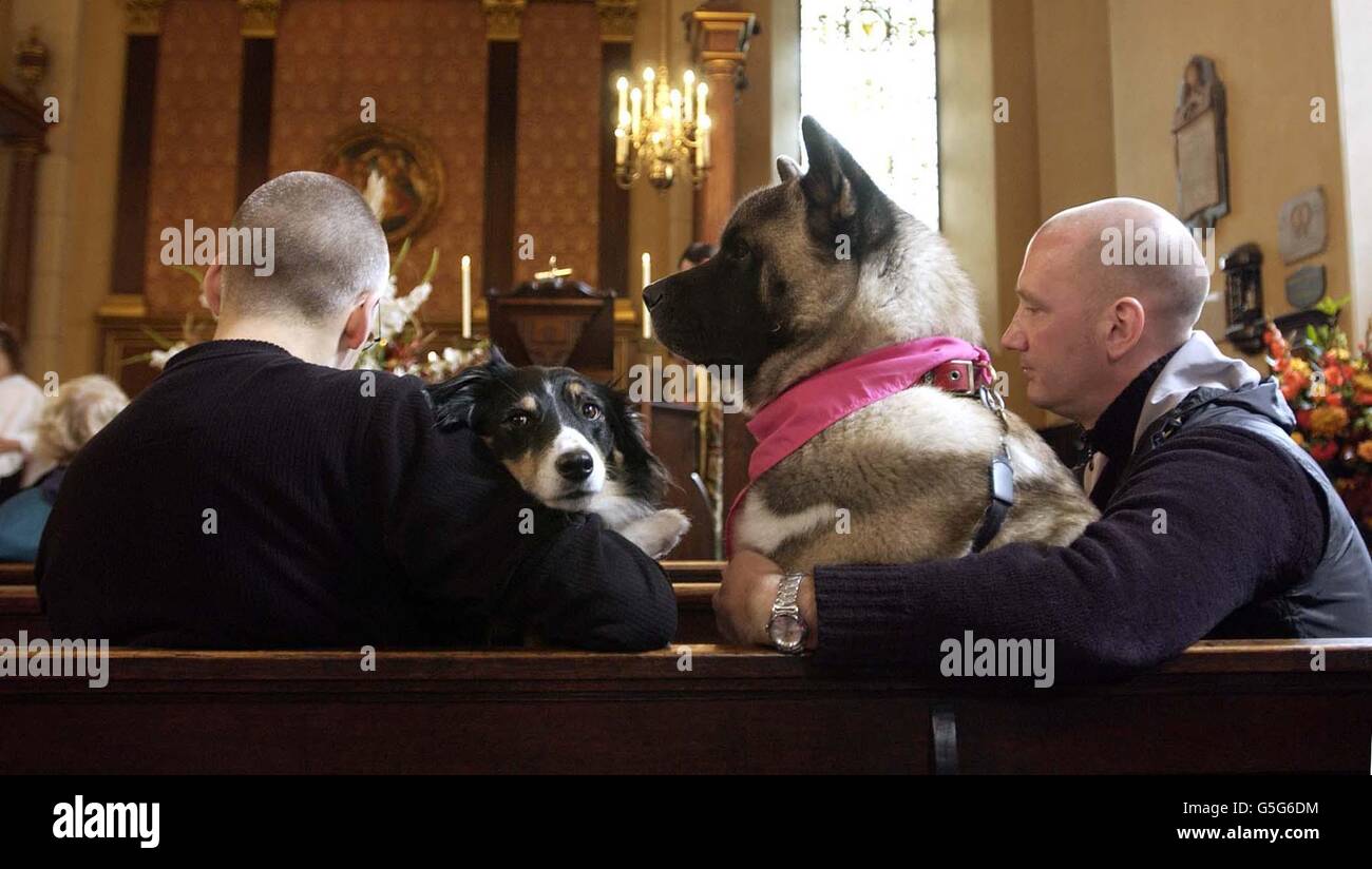 Worshippers sits with their dogs during an Animal Service and Blessing ...