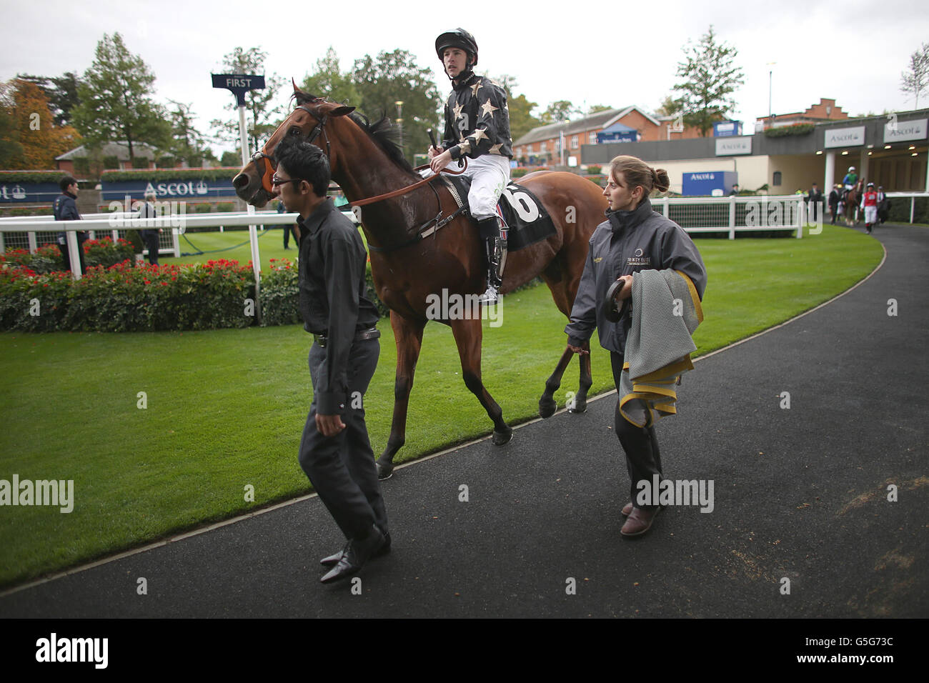 Horse Racing - Autumn Meeting - Day One - Ascot Stock Photo - Alamy