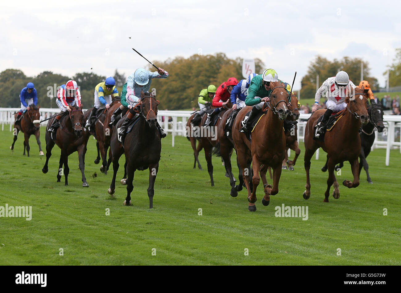 Horse Racing - Autumn Meeting - Day One - Ascot. Horses run in the ...