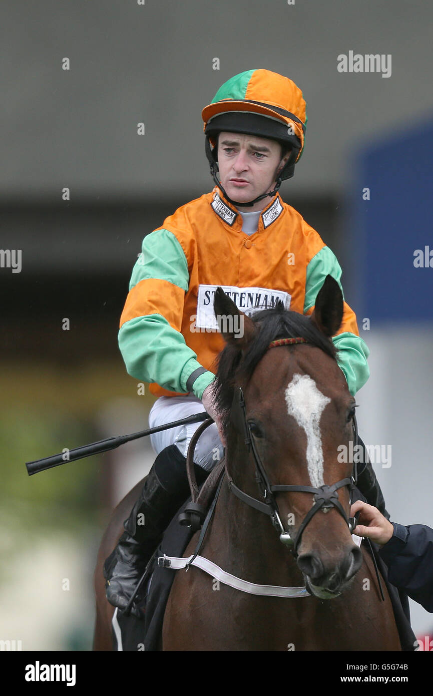 Horse Racing - Autumn Meeting - Day One - Ascot Stock Photo - Alamy