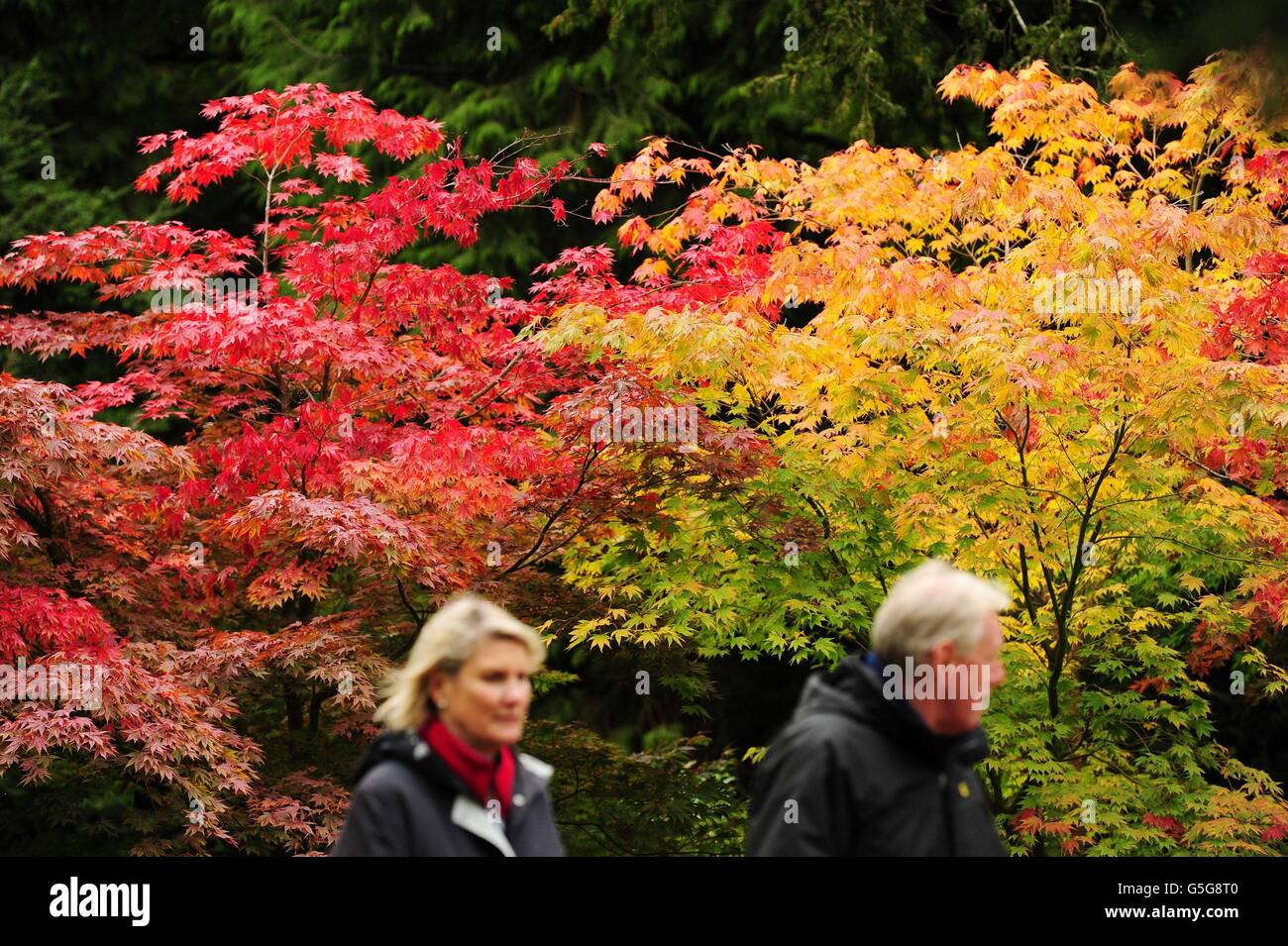 Autumn weather - Oct 15th Stock Photo - Alamy