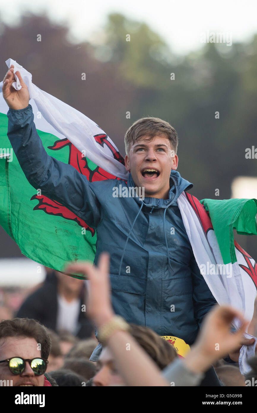 Welsh football fans euro 2016 hi-res stock photography and images - Alamy